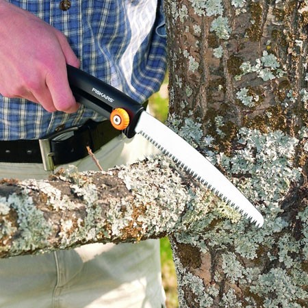 Comment entretenir les arbres de son jardin ? – Sem-jardin